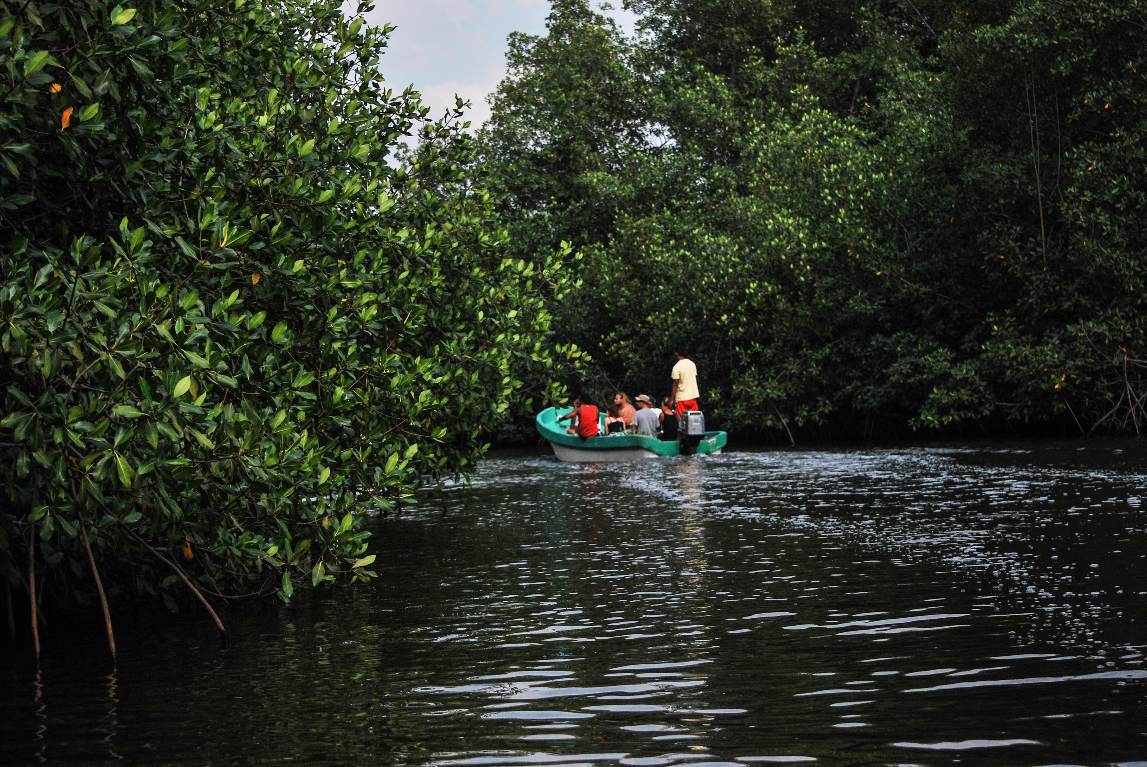 Mangrove Reforestation Project | Journey Nicaragua